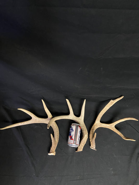 The Antler Outlet
